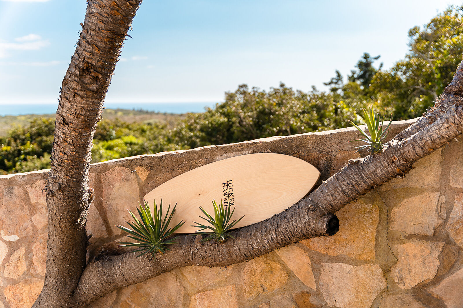 Balance Board selbst bauen DIY Anleitung | PURE Surfcamps