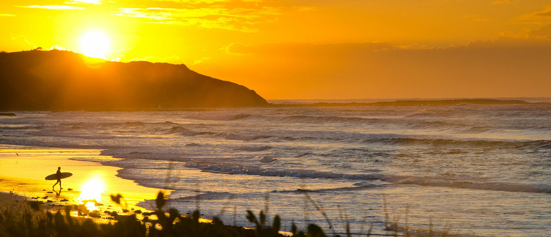Surfcamps Costa Rica | PURE Surfcamps