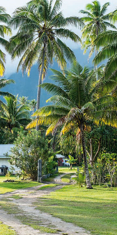 Surf Spot Check: Moorea im Südpazifik | PURE Surfcamps